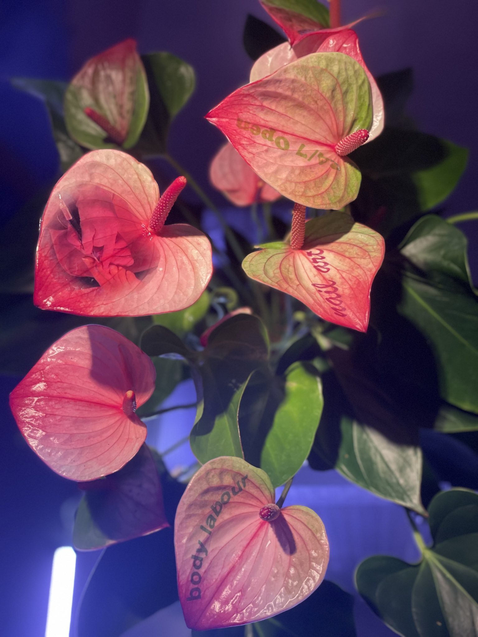 Spielfeld:Körper – Nail Art zwischen körperlicher Arbeit und kreativem ...